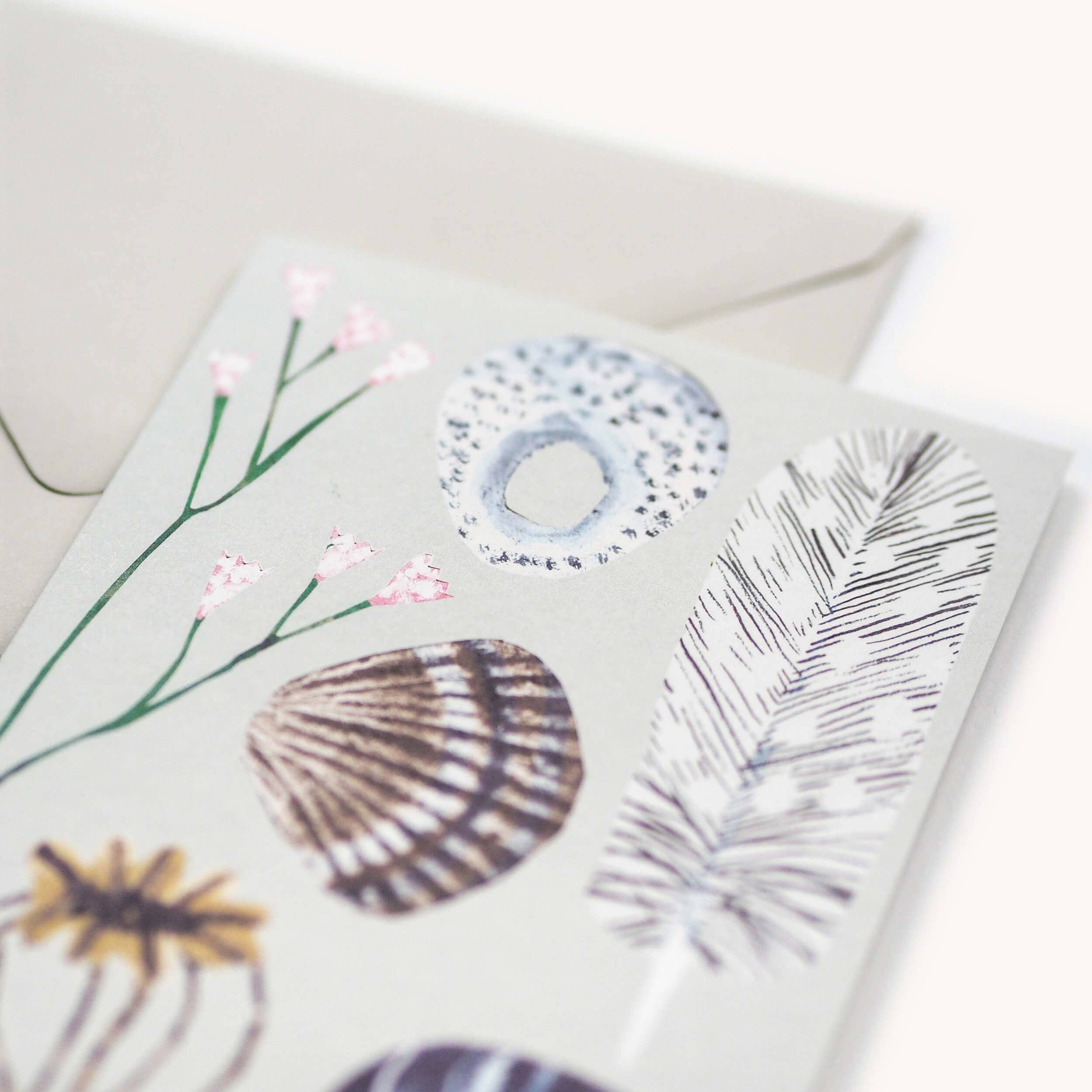 Finds – Kate Sheridan