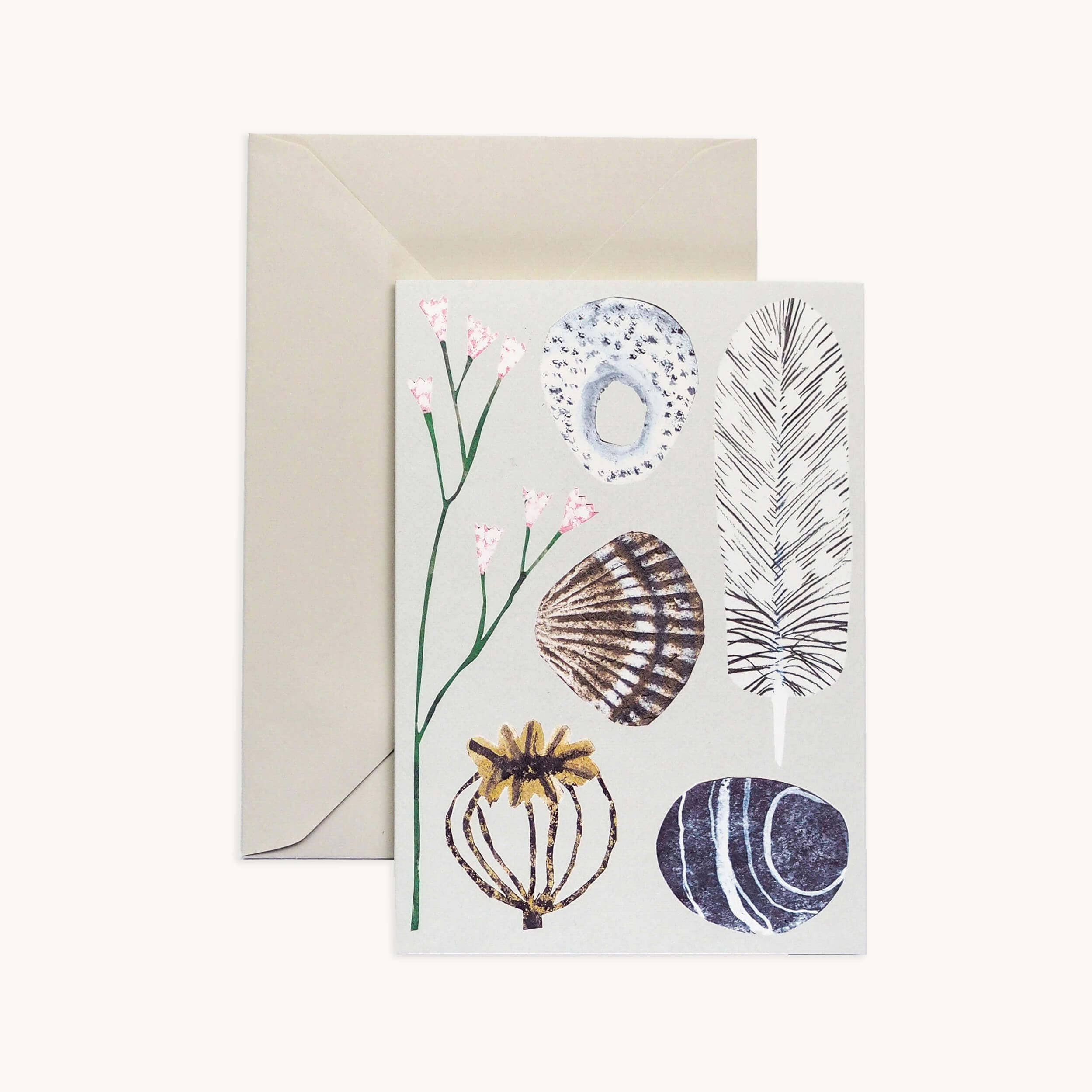 Finds – Kate Sheridan