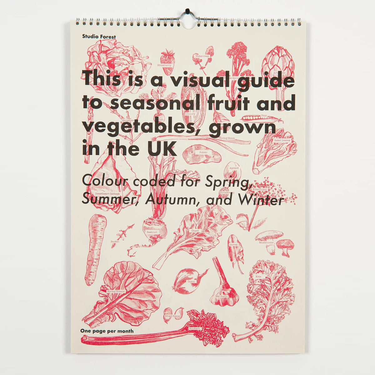 Seasonal Vegetable Guide – Kate Sheridan