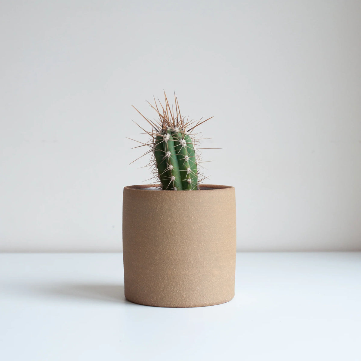 Dor & Tan Medium Planter - Oat – Kate Sheridan